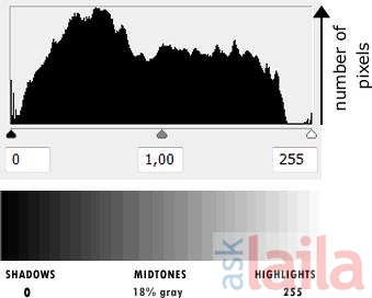 GK Vale in Jaya Nagar 4th Block, Bangalore | 3 people Reviewed - AskLaila