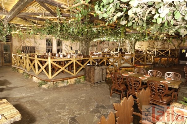 Photos of Machaan Jungle Restaurant Mumbai Naka, Nashik | Machaan ...