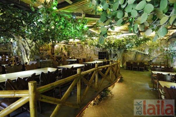 Machaan Jungle Restaurant in Ghod Dod Road, Surat - AskLaila
